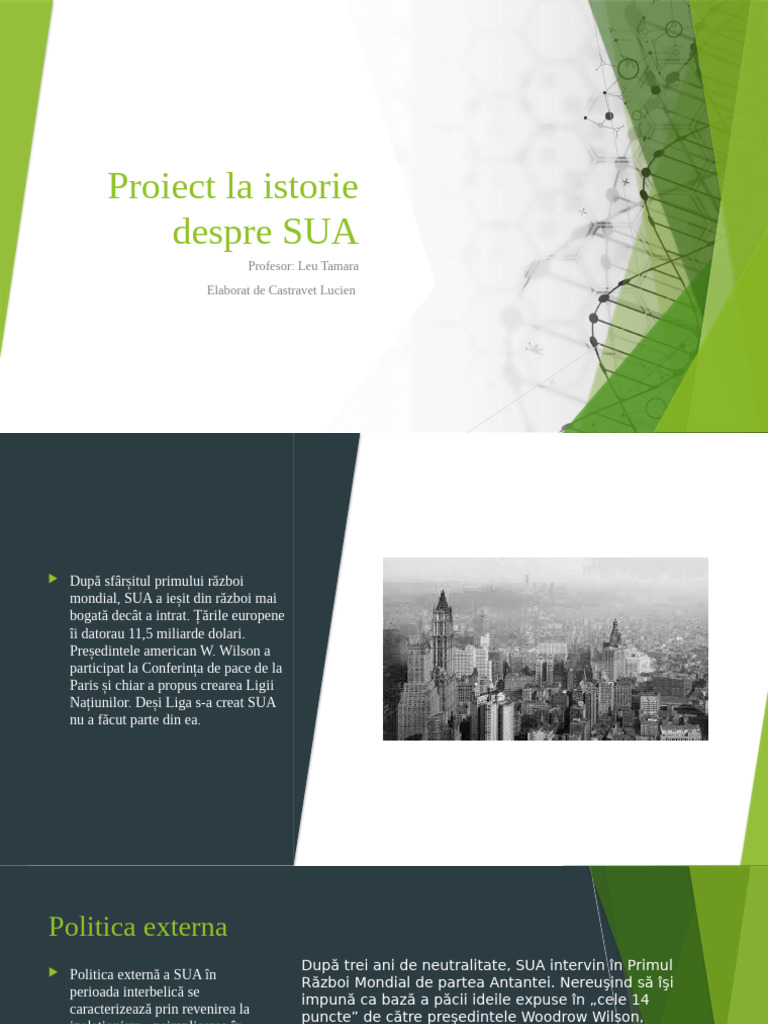 Proiect La Istorie Despre SUA | PDF