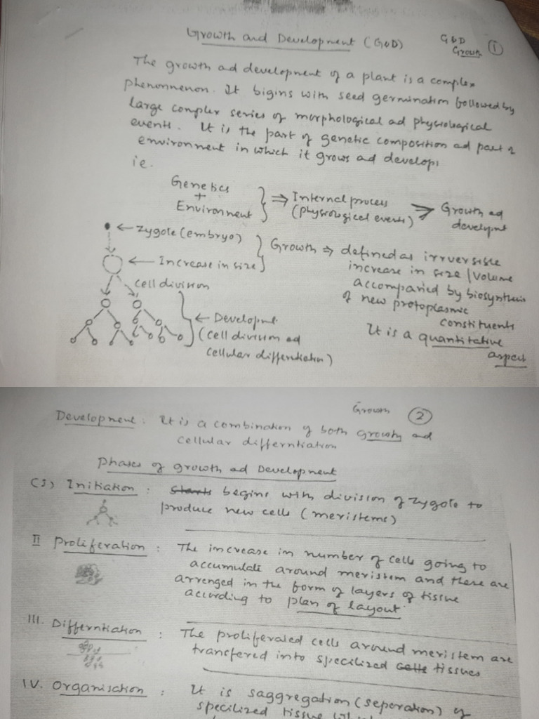 Growth and Development - Cph Notes | PDF