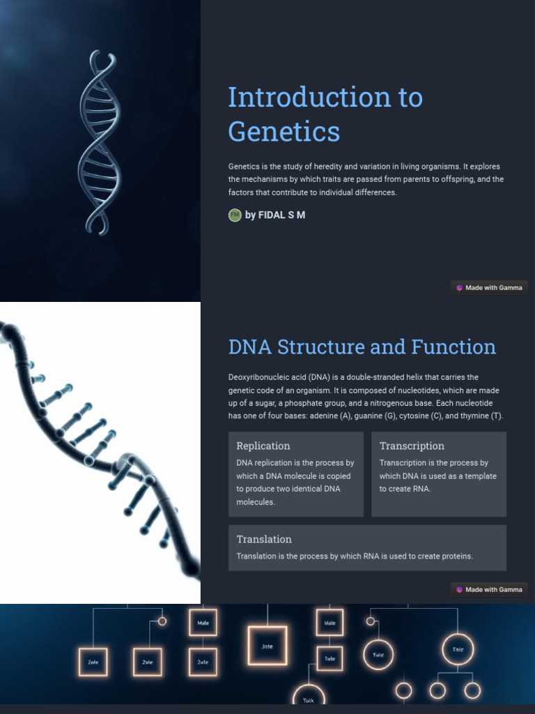 Introduction To Genetics | PDF | Genetics | Science & Mathematics