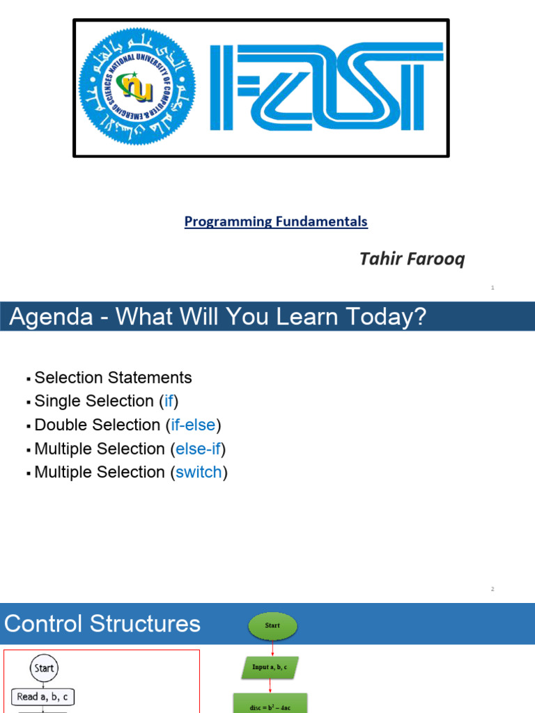 Tahir Farooq: Programming Fundamentals | PDF