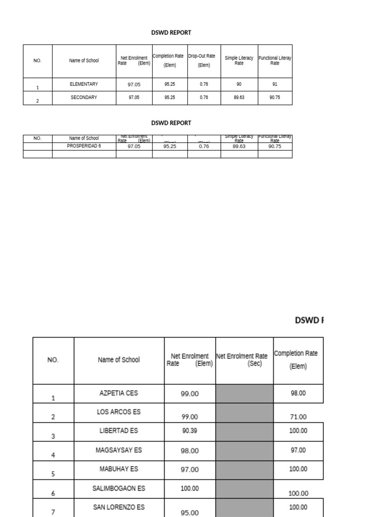 DSWD Report Consolidation | PDF