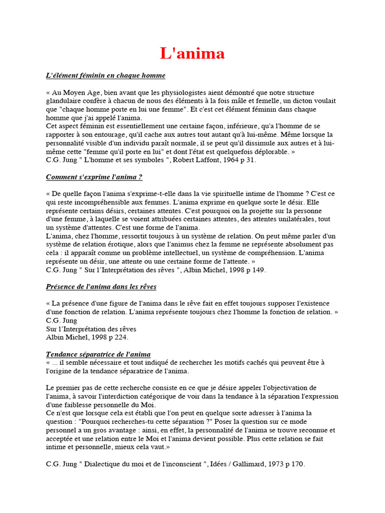 Archetype ANIMA Definition | PDF