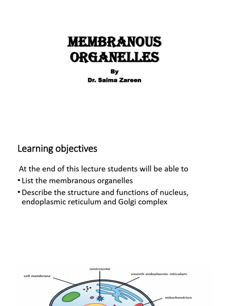 Membranous Organelles | PDF
