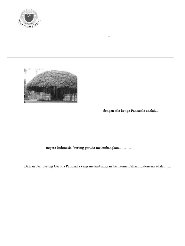 Pas PP P4 | PDF
