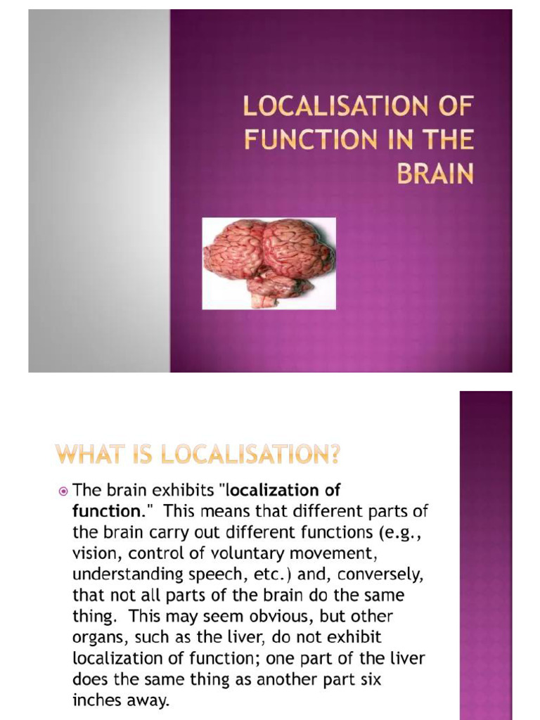 localisation-of-function-in-the-brain-n (20240830084040) | PDF