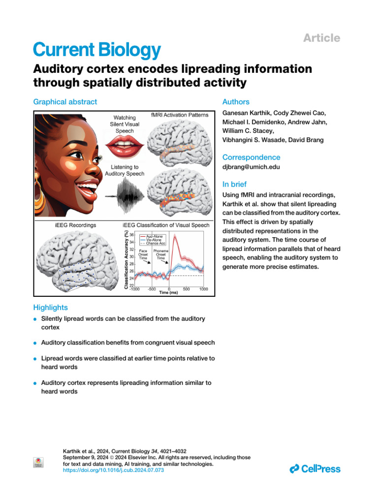 Auditory Cortex Encodes Lipreading Information Through Spatially Distributed Activity | PDF