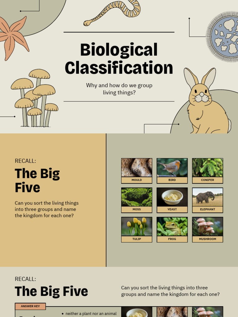 Biological Classification Education Presentation in Simple Outlined ...