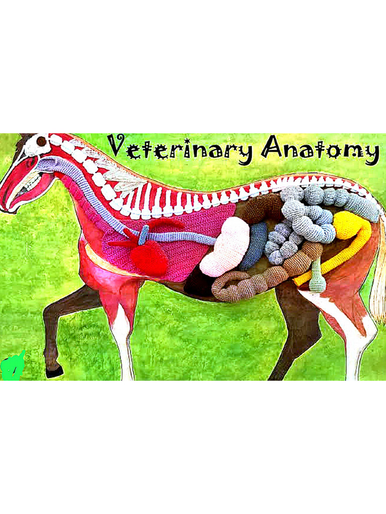 Anatomy Last 5 Years Review | PDF