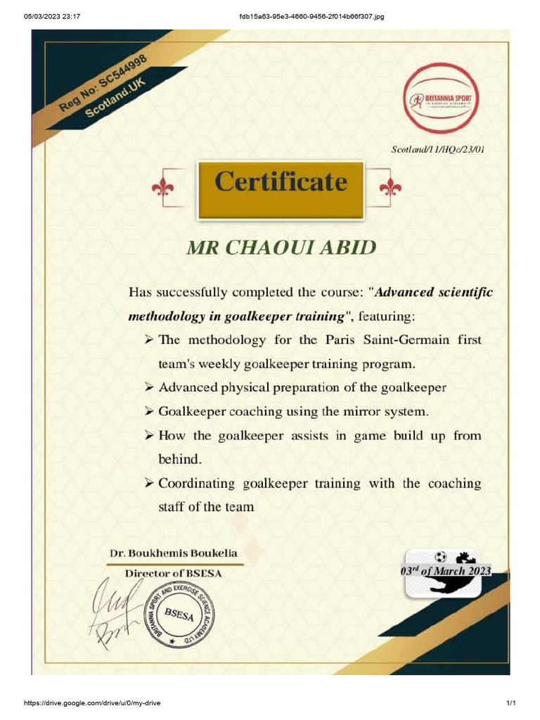 Certificate of Goalkeeper | PDF