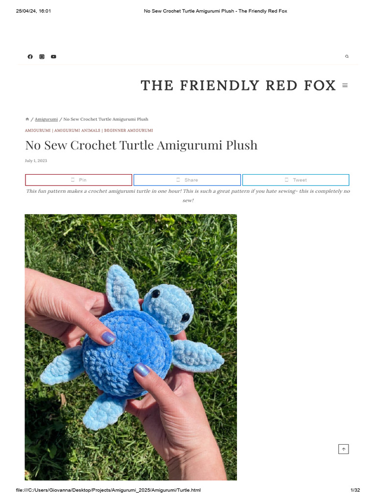 Turtle | PDF