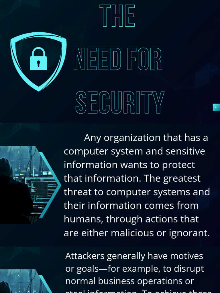The Need For Security | PDF