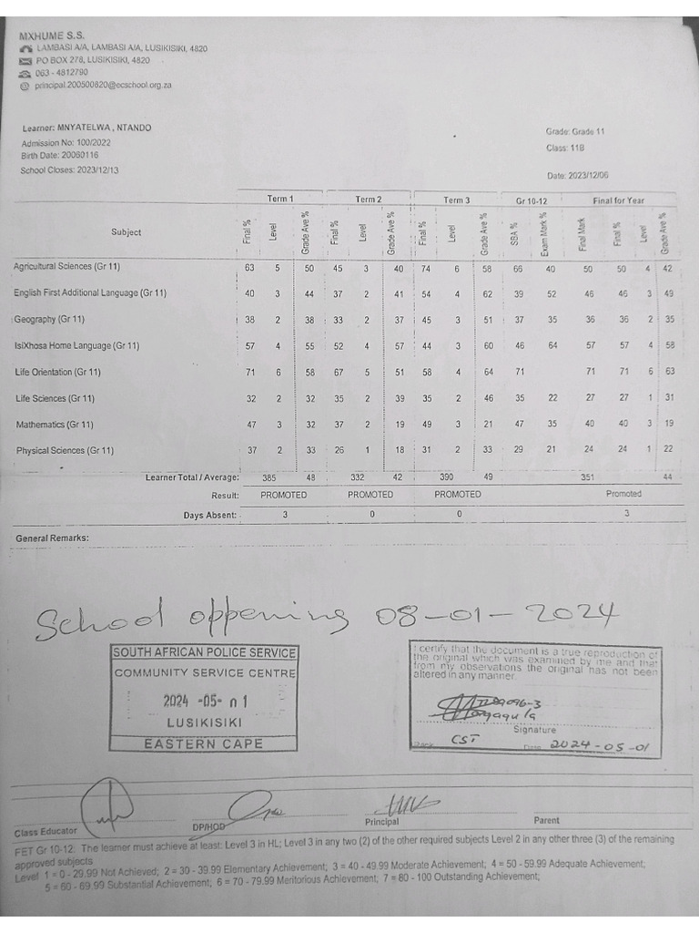 Grade 11 report | PDF