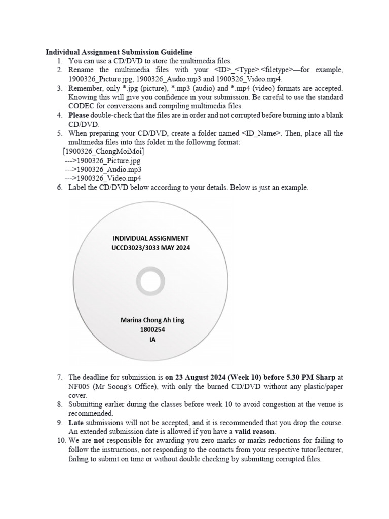 Assignment Submission Guideline (Group & Individual) | PDF