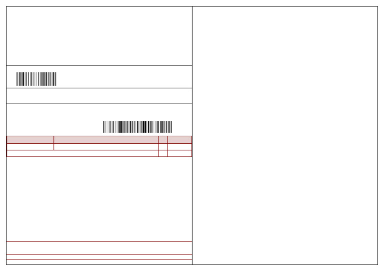 India Post Shipping Label Details | PDF