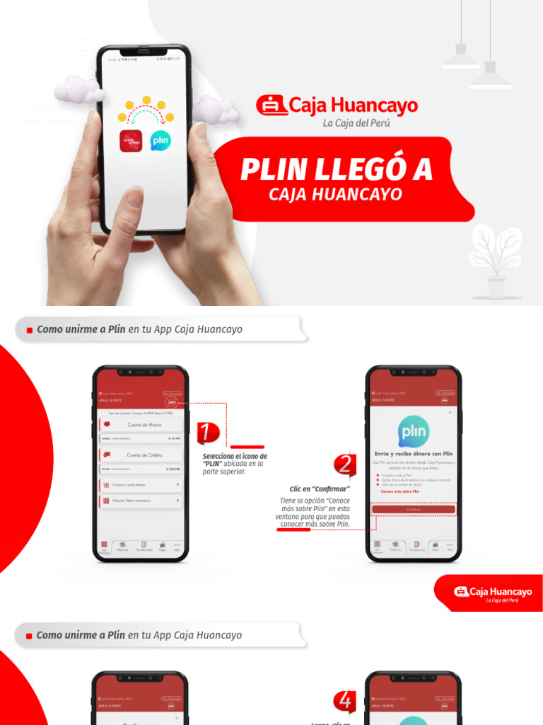 Instructivo Plin | PDF