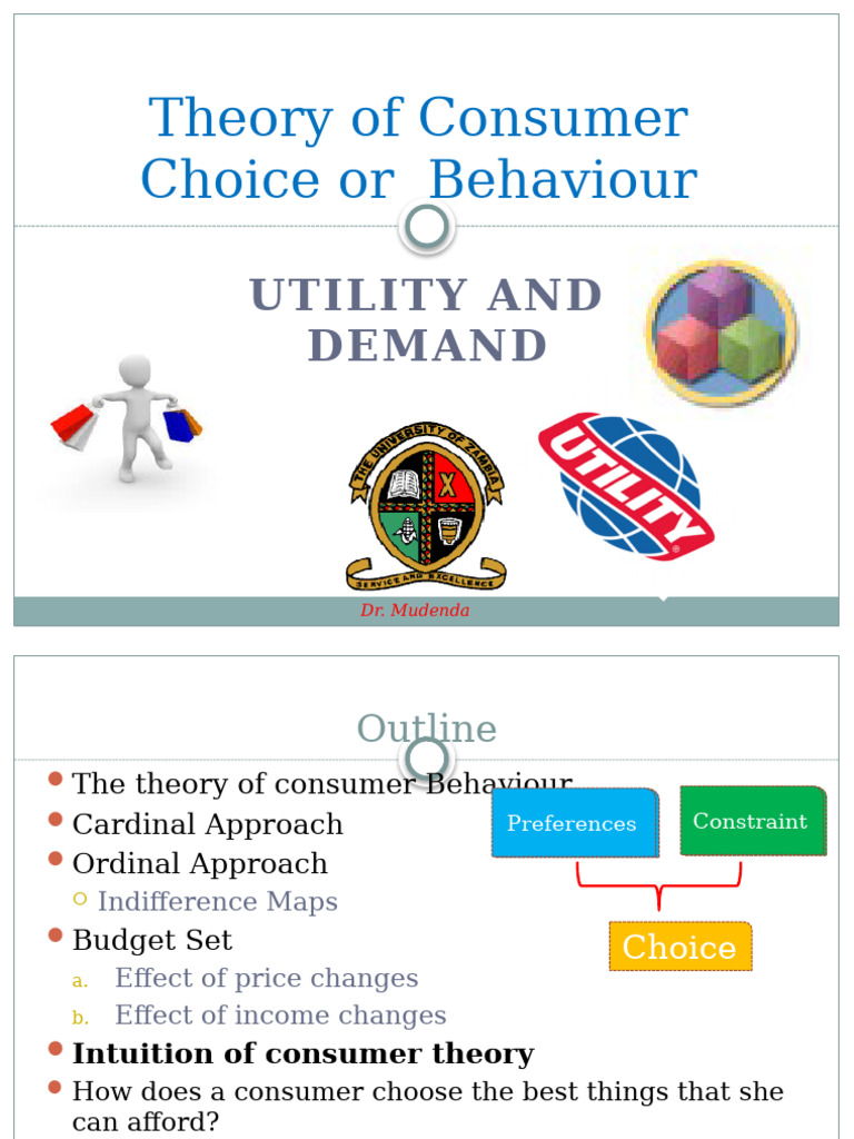 Topic 3 (Consumer Theory) | PDF