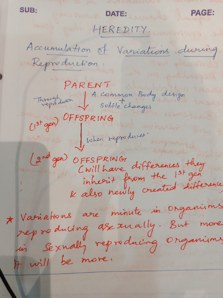 Heredity Notes | PDF