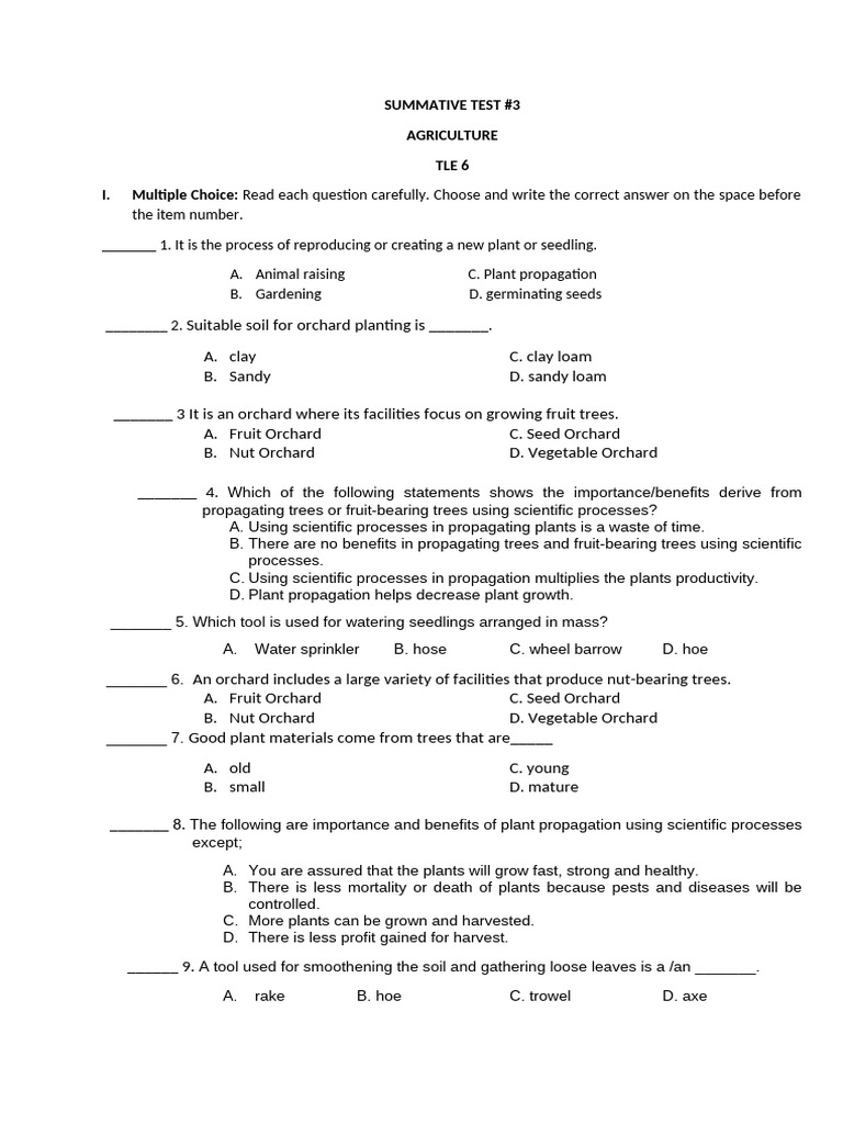 Summative Test 3 | PDF