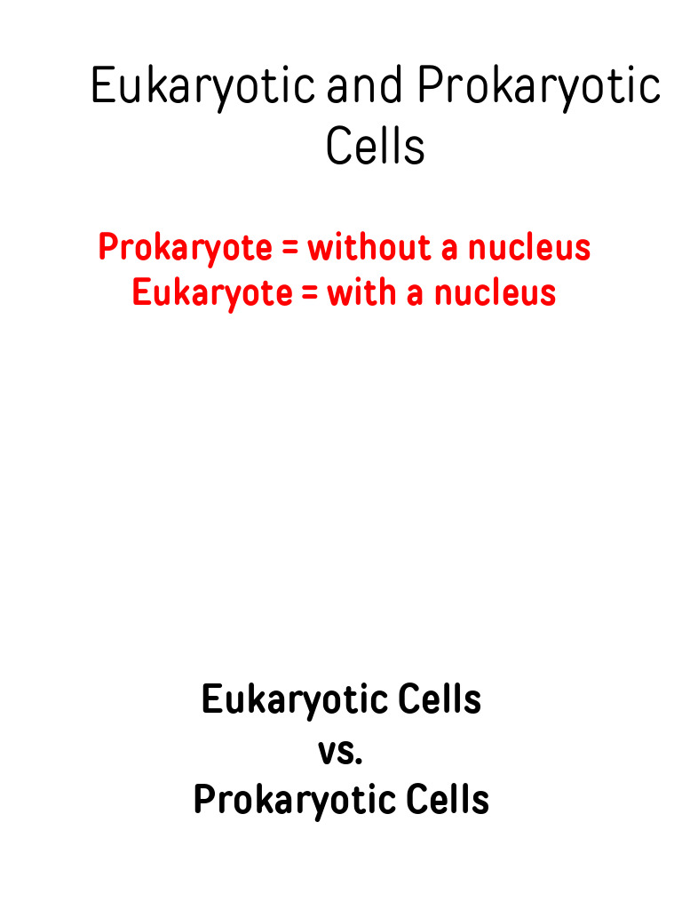 PROKARY VS EUKARYOT - PPTX - 20240823 - 193706 - 0000 | PDF