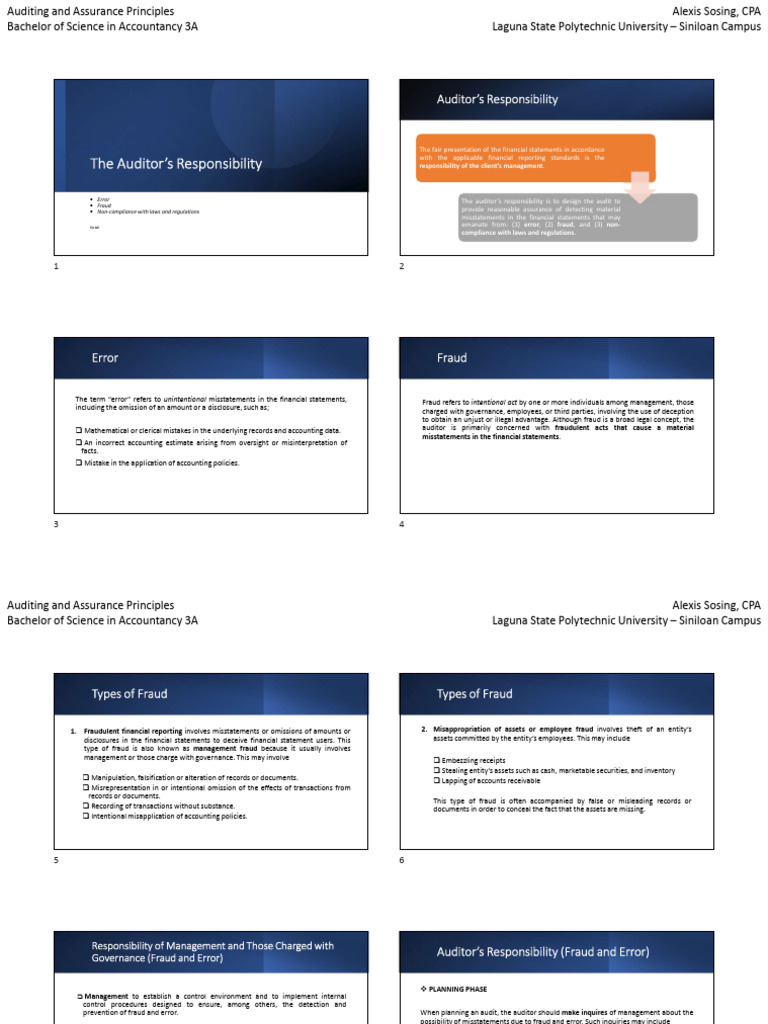 Topic 3 The Auditor's Responsibility | PDF