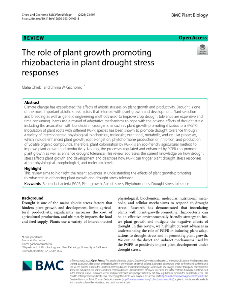The Role of Plant Growth Promoting Rhizobacteria in Plant Drought ...