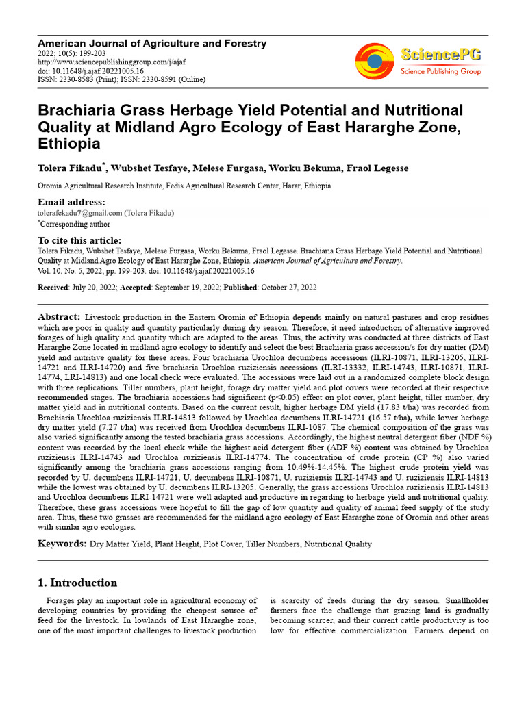 Brachiaria Grass Herbage Yield Potential | PDF