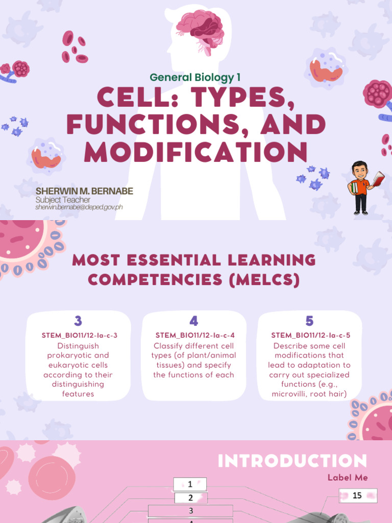 Gen. Bio. 1 CELL TYPES FUNCTIONS AND MODIFICATION - 20240808 - 044931 - 0000 | PDF