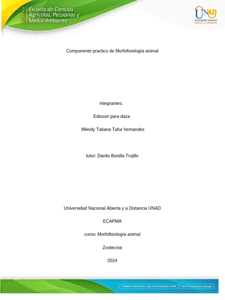 Laboratorio Morfo | PDF