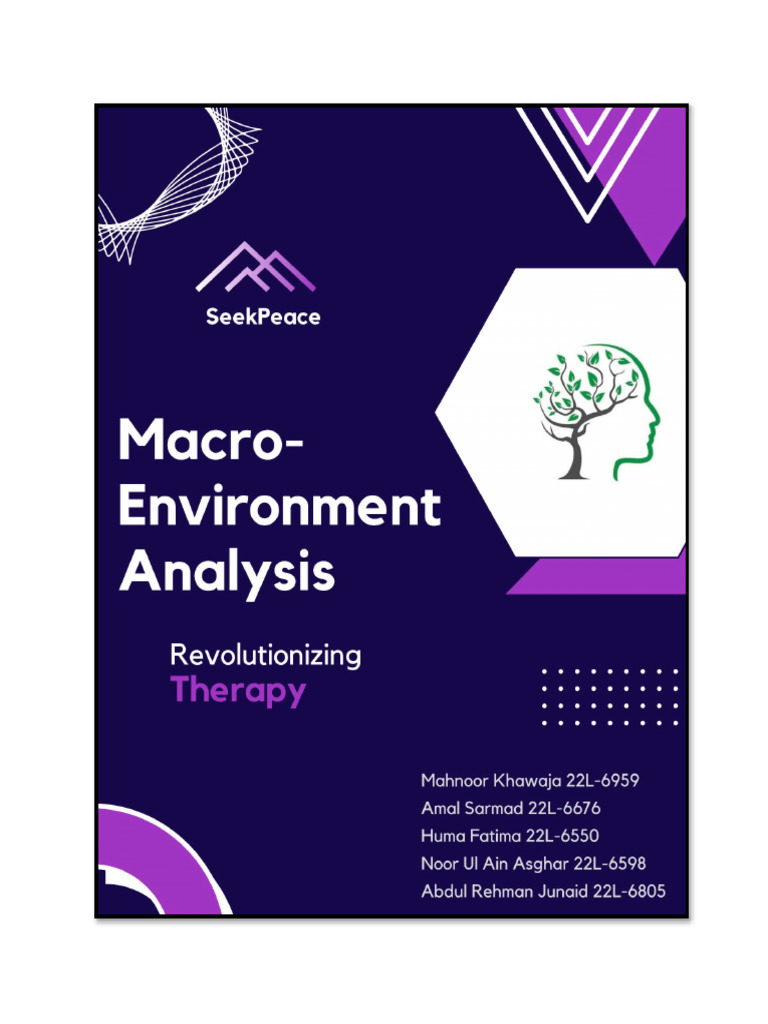 Macro-environment Analysis | PDF