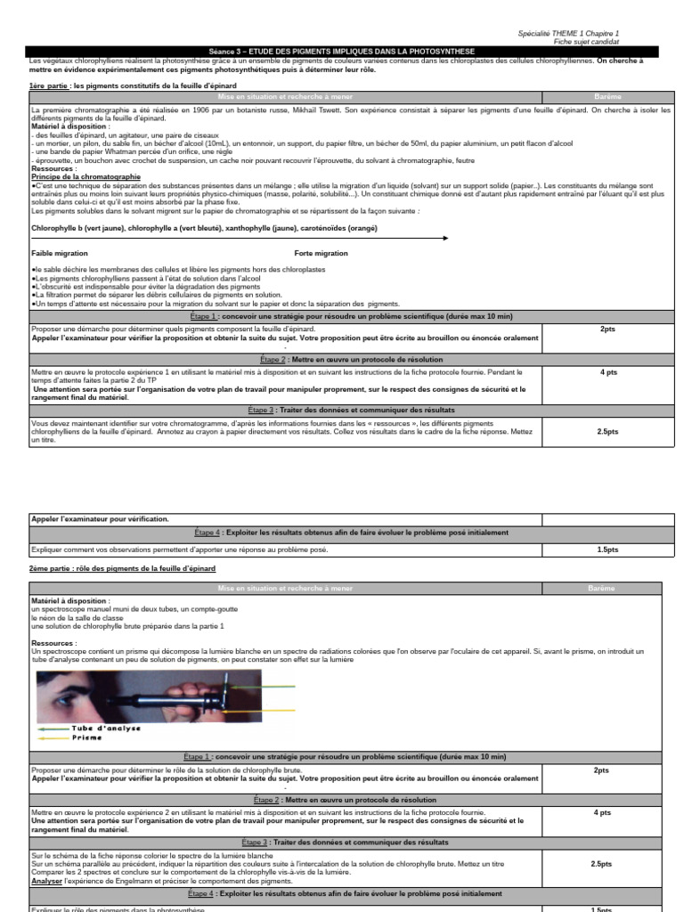TP 3 Chromatographie Spectre Eleves | PDF
