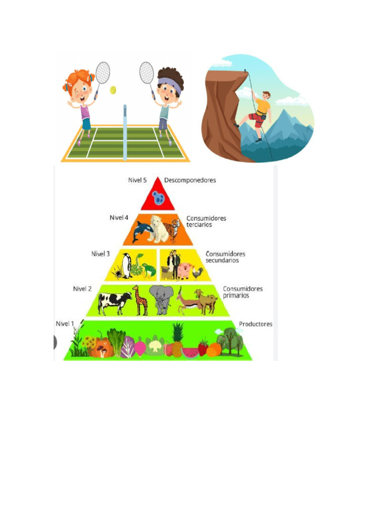 English - science | PDF