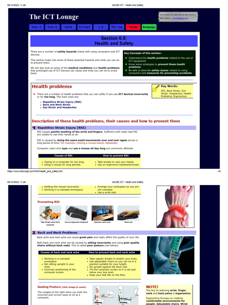 IGCSE ICT - Heath and Safety | PDF