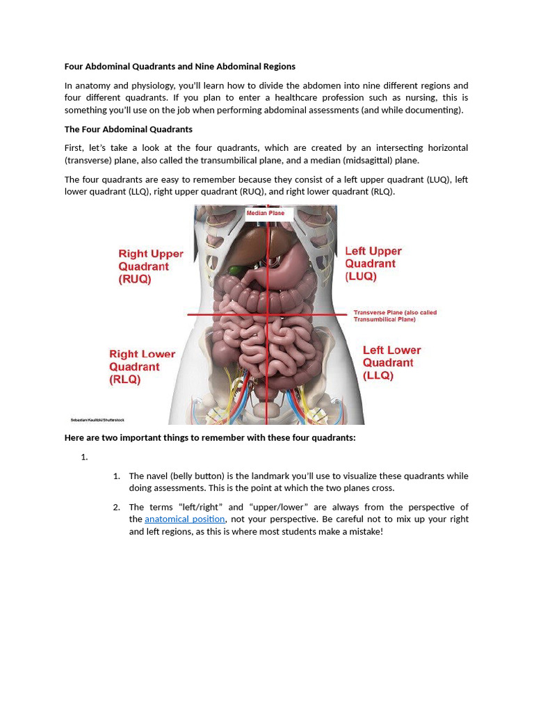 organs | PDF