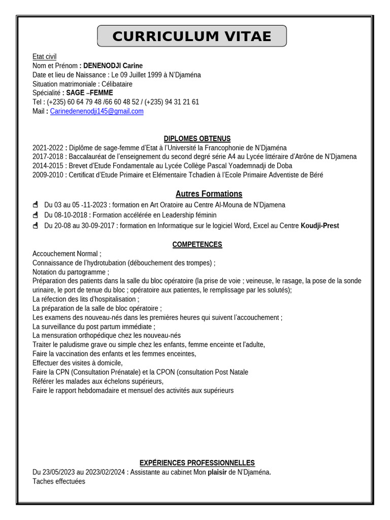 Denenodji Carine CV MD | PDF