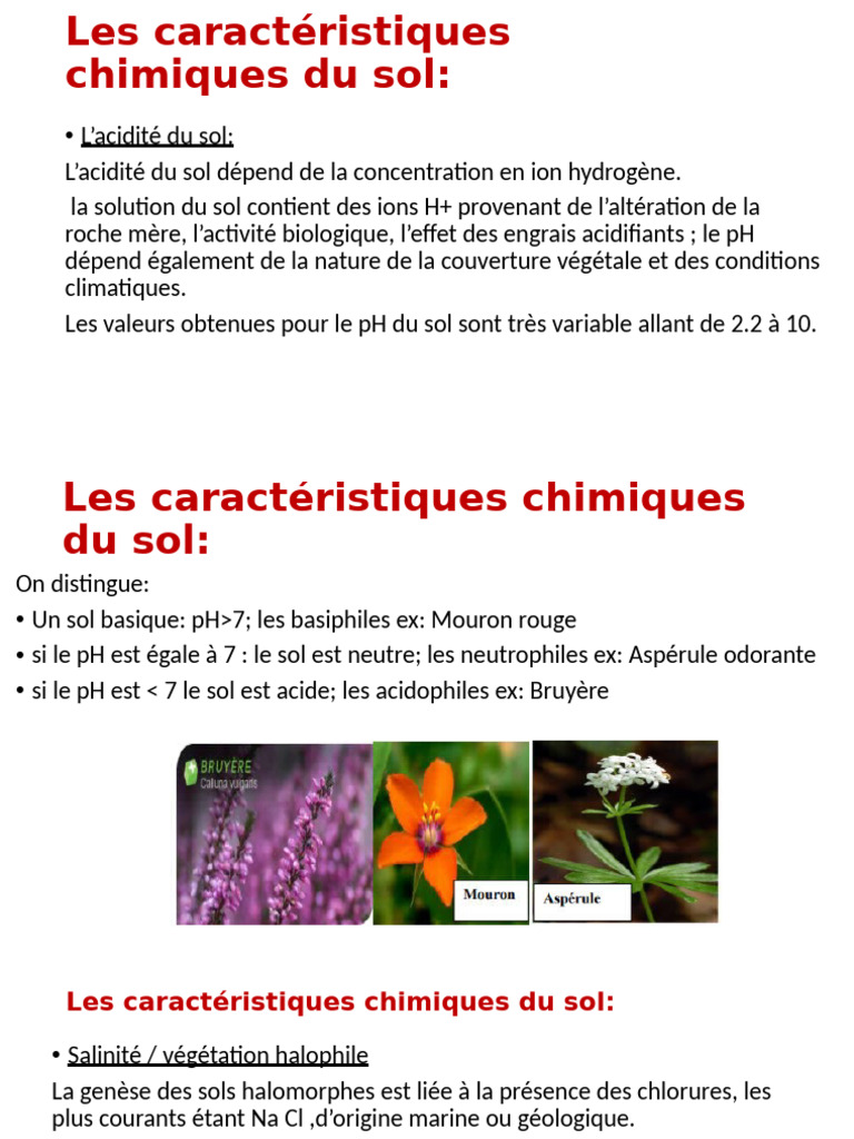 Faune Et Flore | PDF