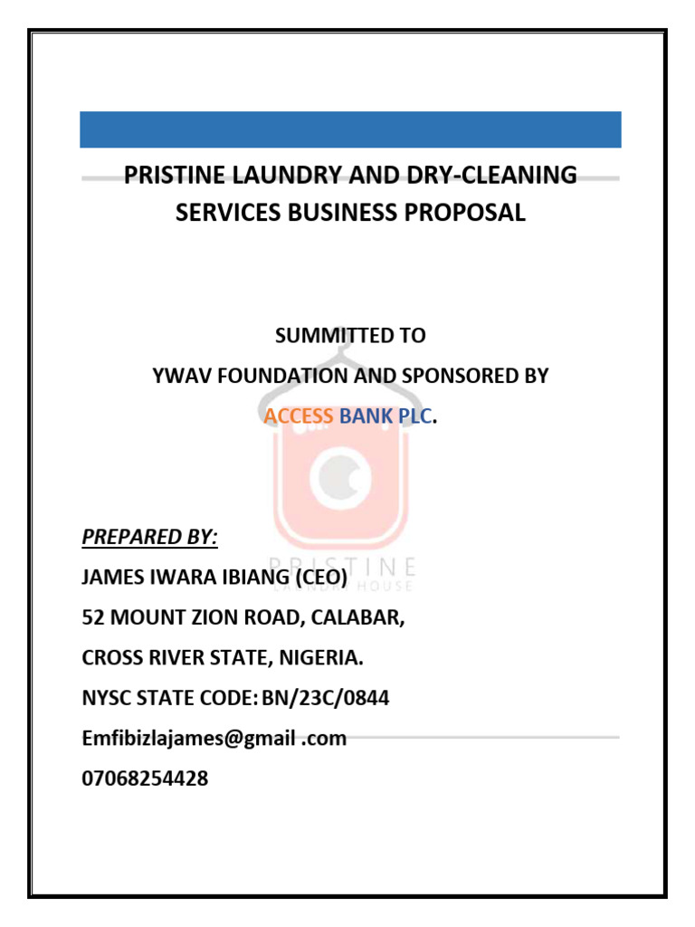 Pristine Laundry and Dry-Cleaning Business Proposal | PDF | Banks ...