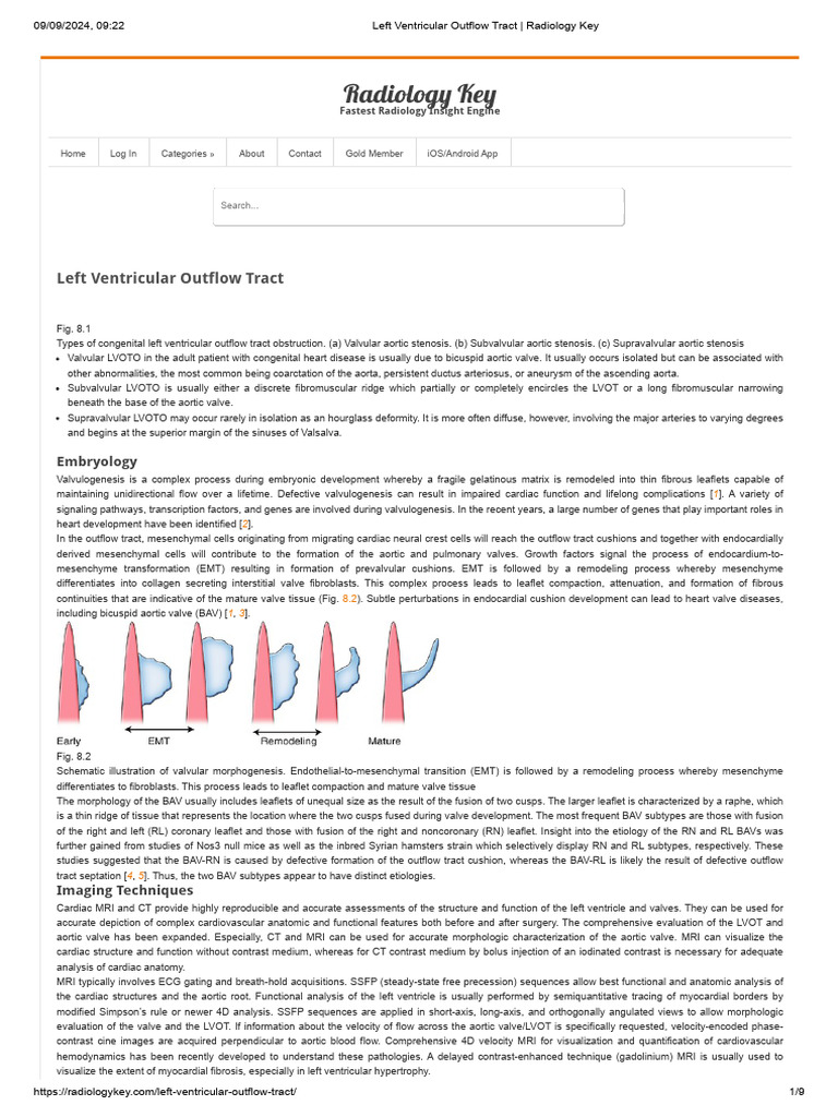 LVOT Left Ventricular Outflow Tract - Radiology Key | PDF