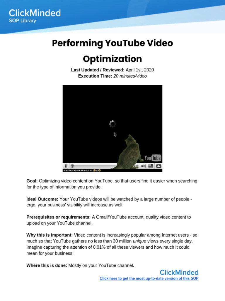 SOP 022 - Youtube Video Optimization | PDF