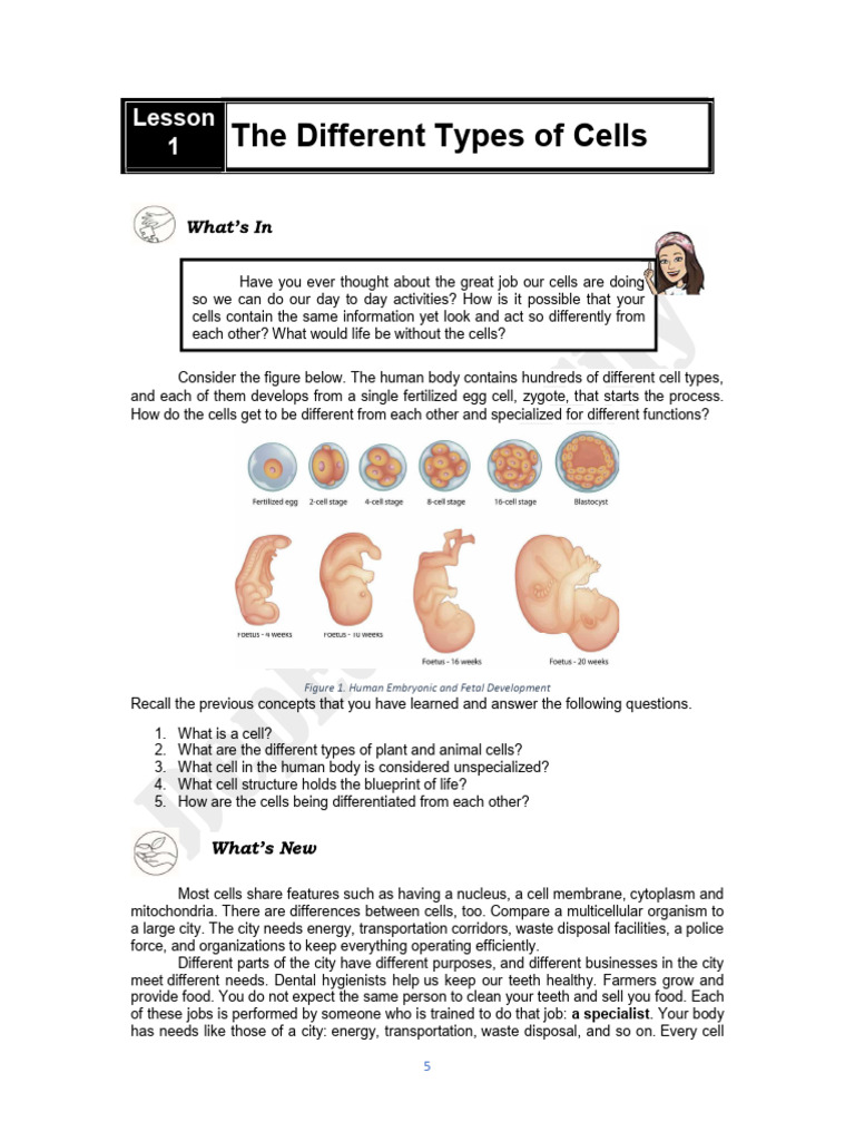 Cell Modification Handouts | PDF