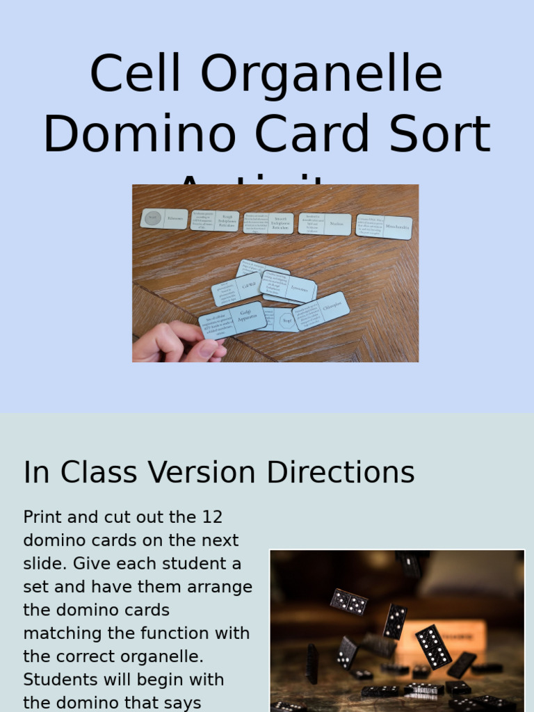 Cell Organelle Domino Card Sort Activity | PDF