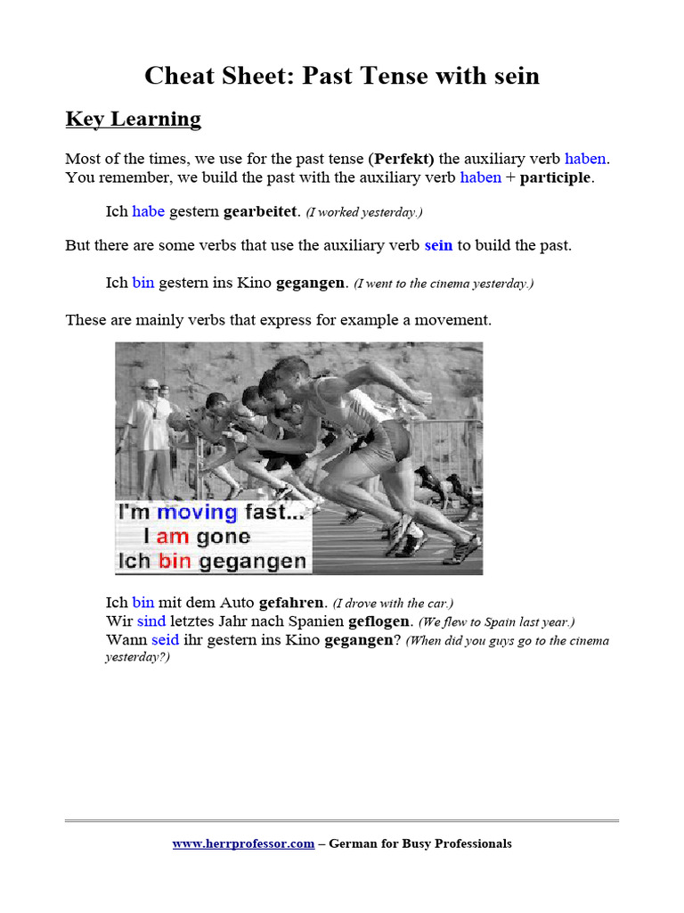 Cheat Sheet Past Tense With Sein | PDF