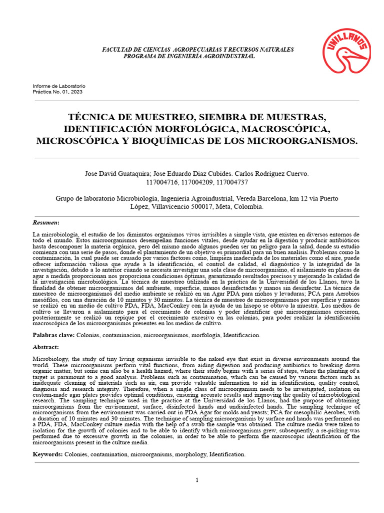 Hola Profe OwO | PDF