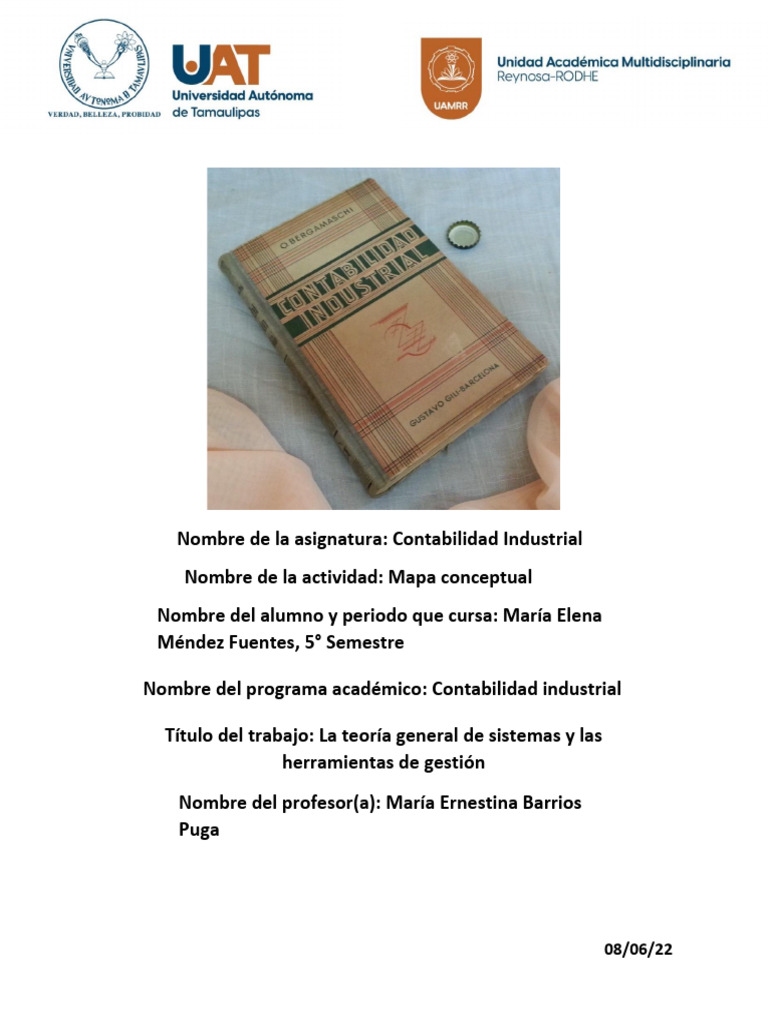 Act 1 Mapa conceptual TGS y Hdg_023714 | PDF