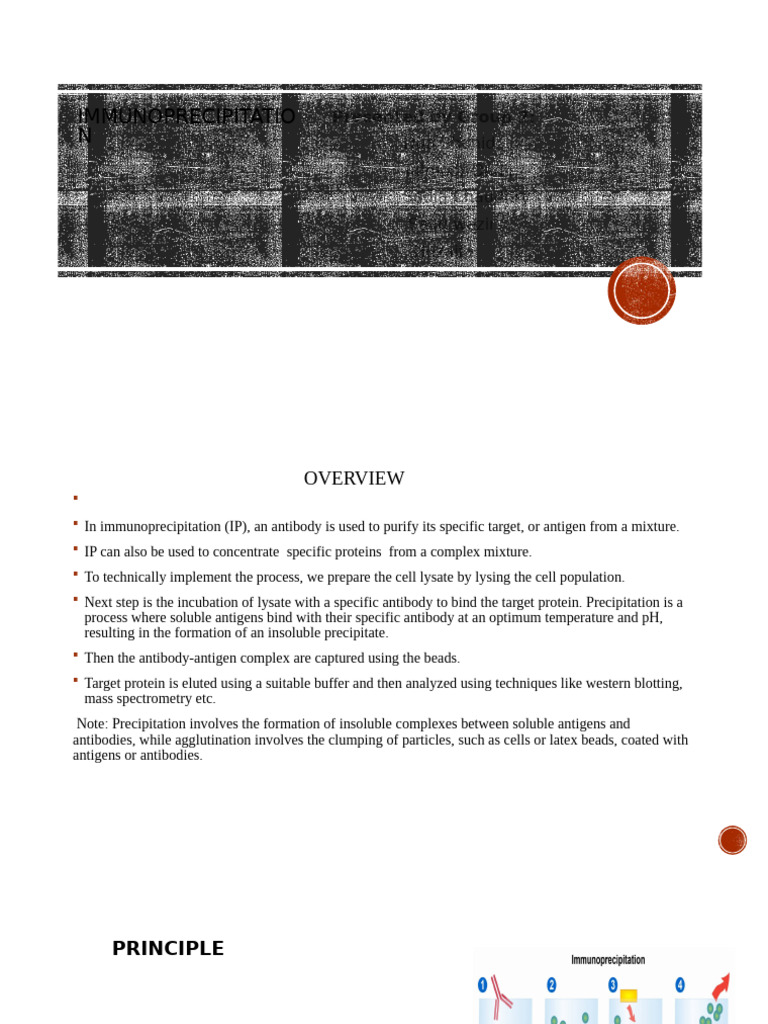 Presentation Final | PDF