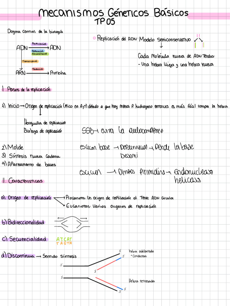 Final Bio Fenix | PDF | Genetics | Molecular Biology