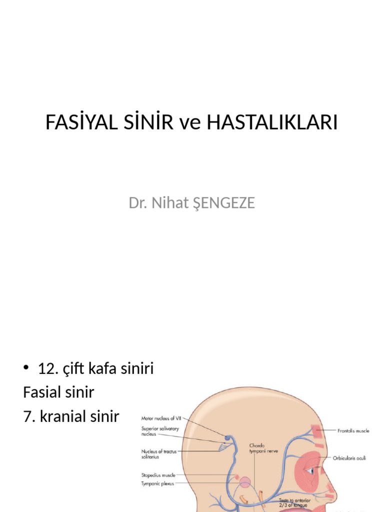 Fasiyal Sinir Ve Hastalıkları - Diş Hekimliği | PDF