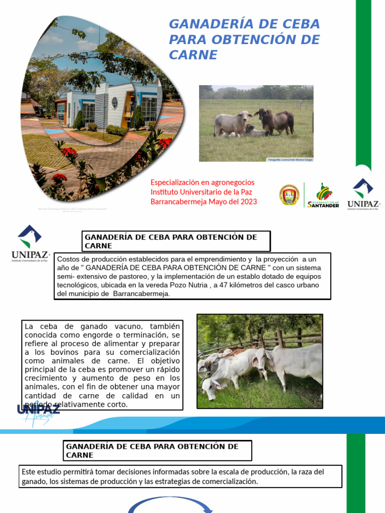 Trabajo Final Financiero | PDF