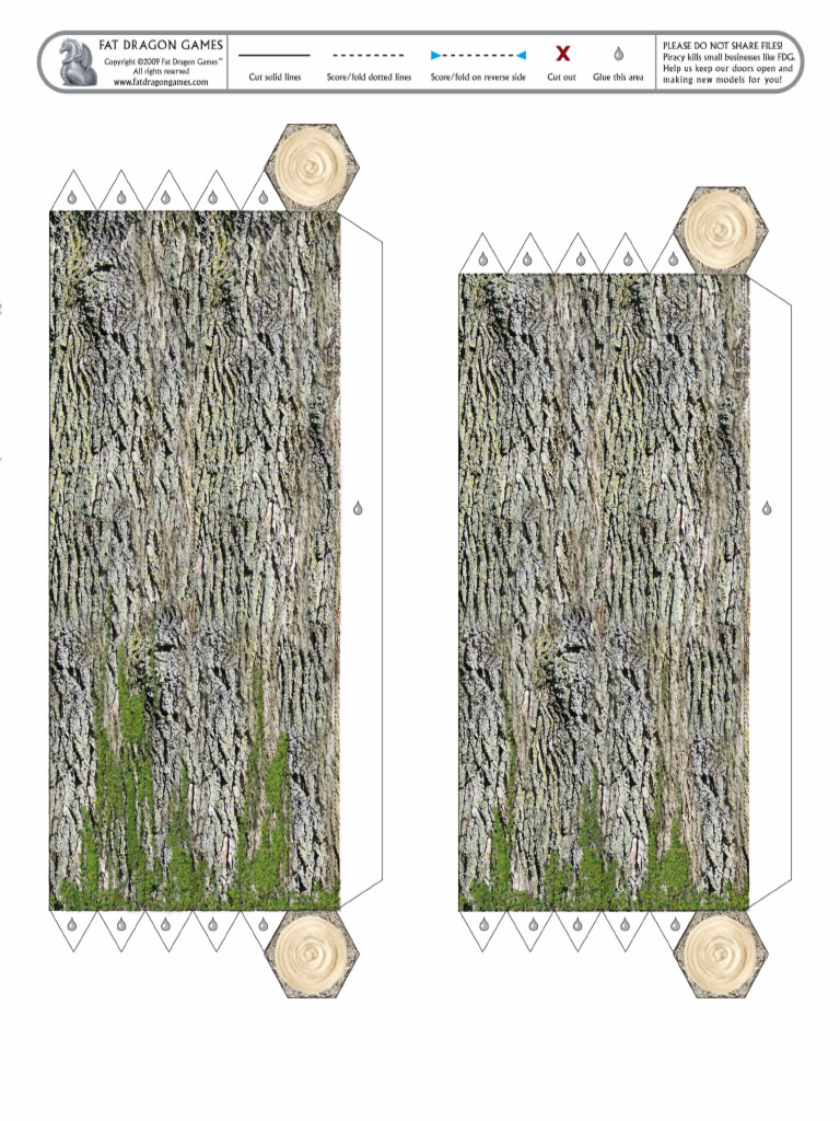 Tree Trunk 1 | PDF