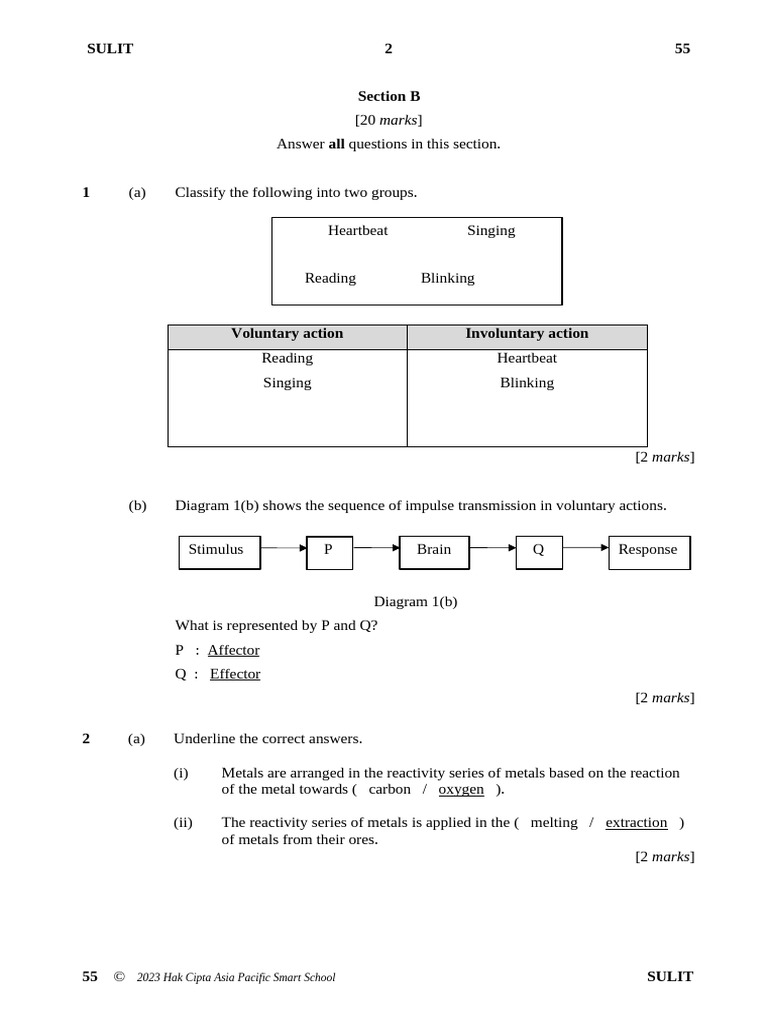 S3 Science Exam Paper 2023 Pdf