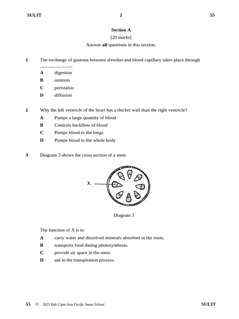 S3 Science Exam Paper 2023 | PDF